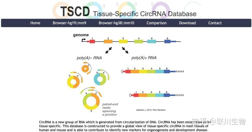 必须收藏的几个好用的circRNA数据库 - 知乎