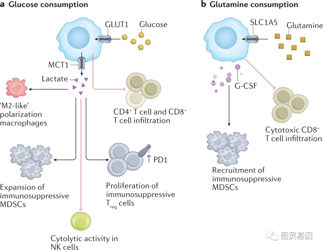 Nat Rev Cancer | 驱动癌细胞免疫调节功能的机制 - 知乎