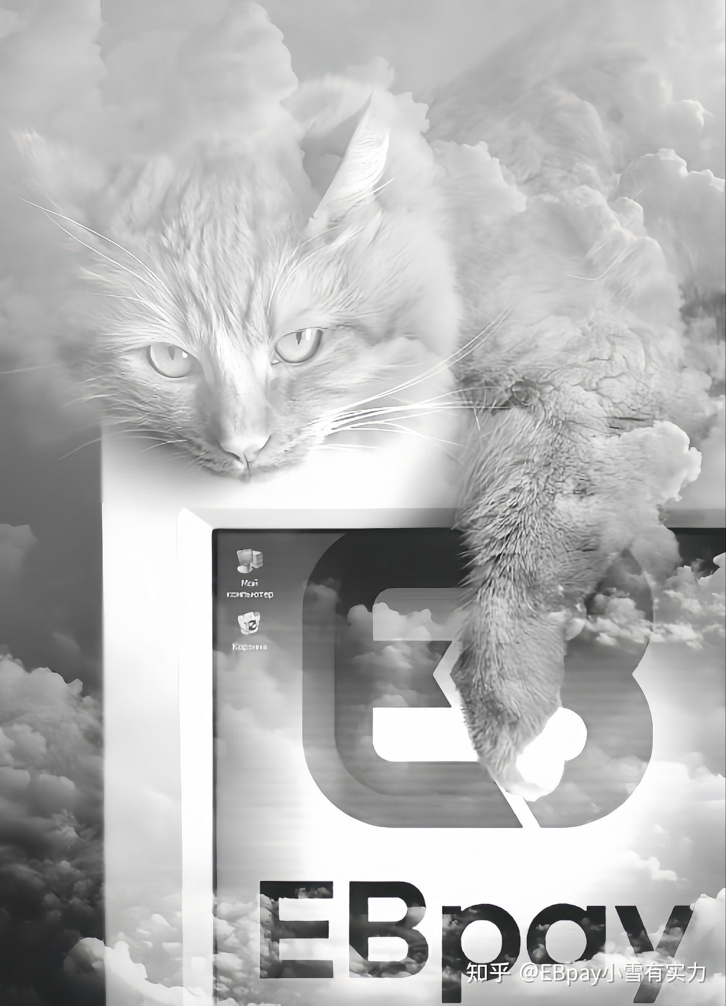 直接被EBpay黑了8个多 - 知乎