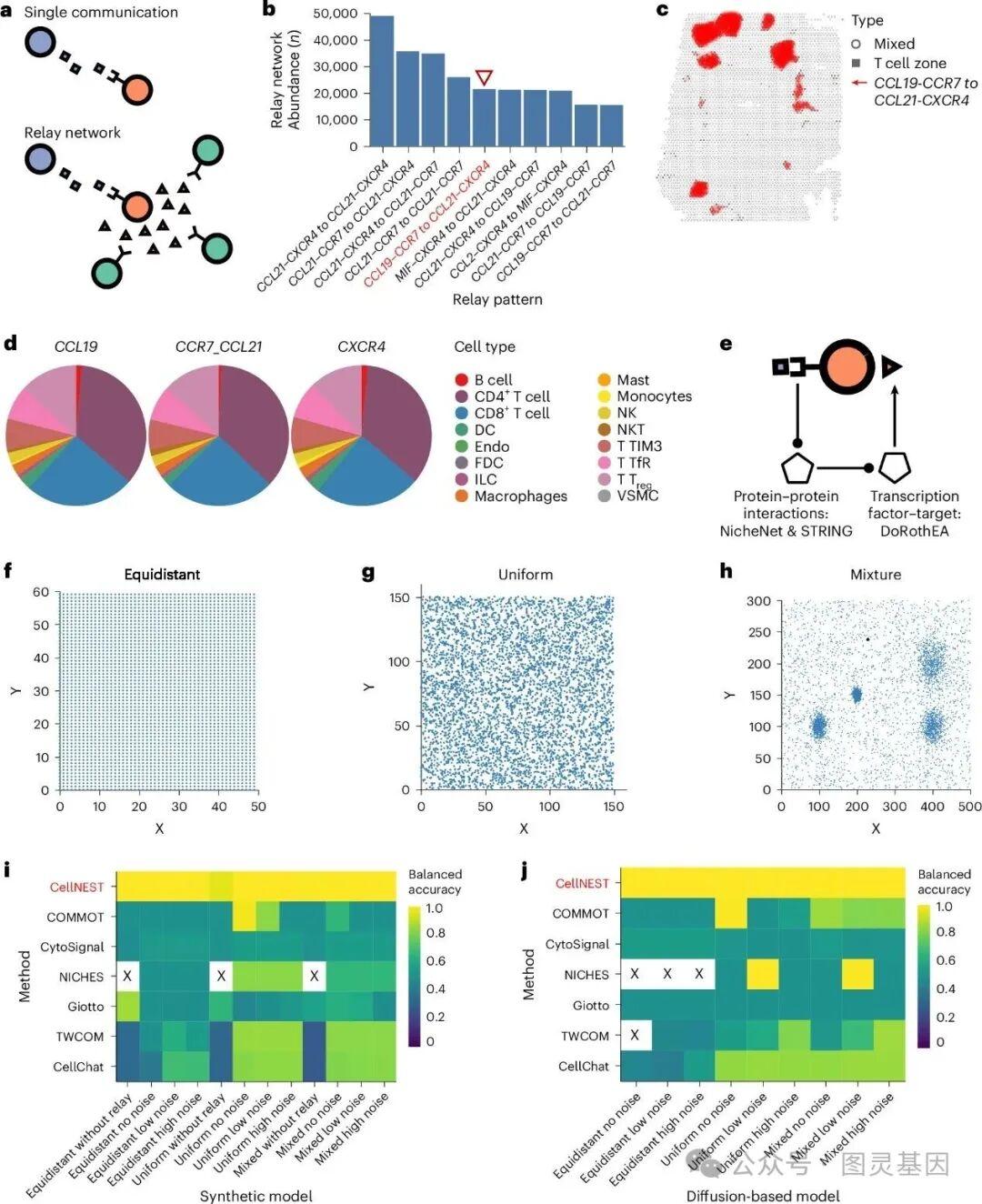 Nat Methods | 基于空间组学探讨细胞通讯：CellNEST揭示细胞间中继网络 - 知乎