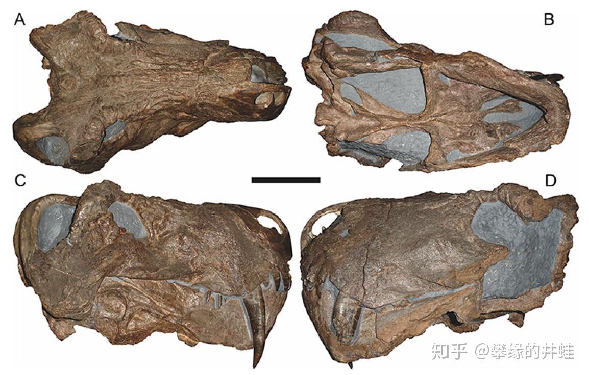 【地球演义】百兽图6：惊饕餮 - 知乎