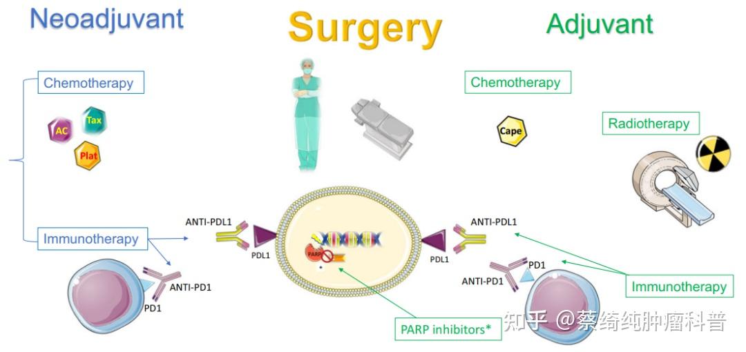 三阴性乳腺癌治疗进展 - 知乎