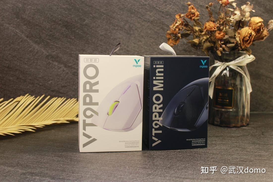 同一手感满足所有需求，雷柏VT9PRO和VT9PRO Mini双模无线鼠标使用体验 - 知乎