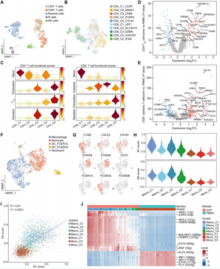 单细胞技术揭示牙釉质型颅咽管瘤的瘤内异质性和细胞间网络特征 - 知乎