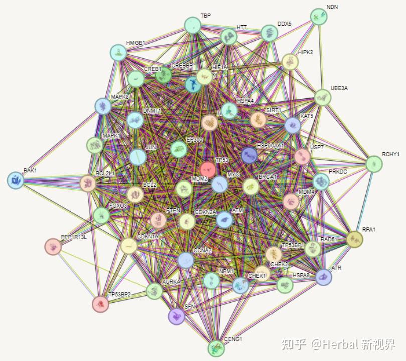 手把手教学｜String数据库与Cytoscape软件联合应用 - 知乎
