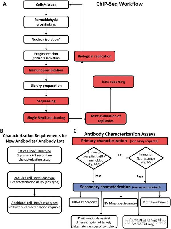 易基因：ENCODE和modENCODE联盟的ChIP-seq实验设计指南和注意事项｜干货 - 深圳市易基因科技 - 博客园