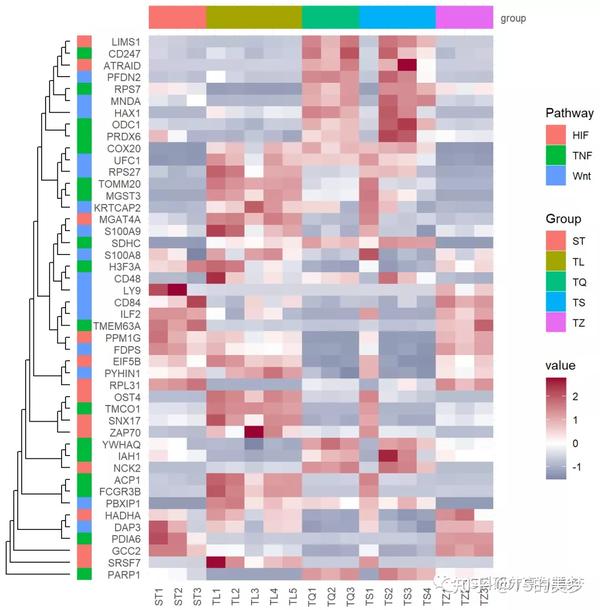 热图5：ggplot2画热图及个性化修饰 - 知乎