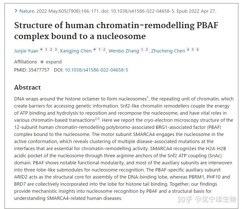 两篇Nature！染色质重塑机制与研究新解 - 知乎