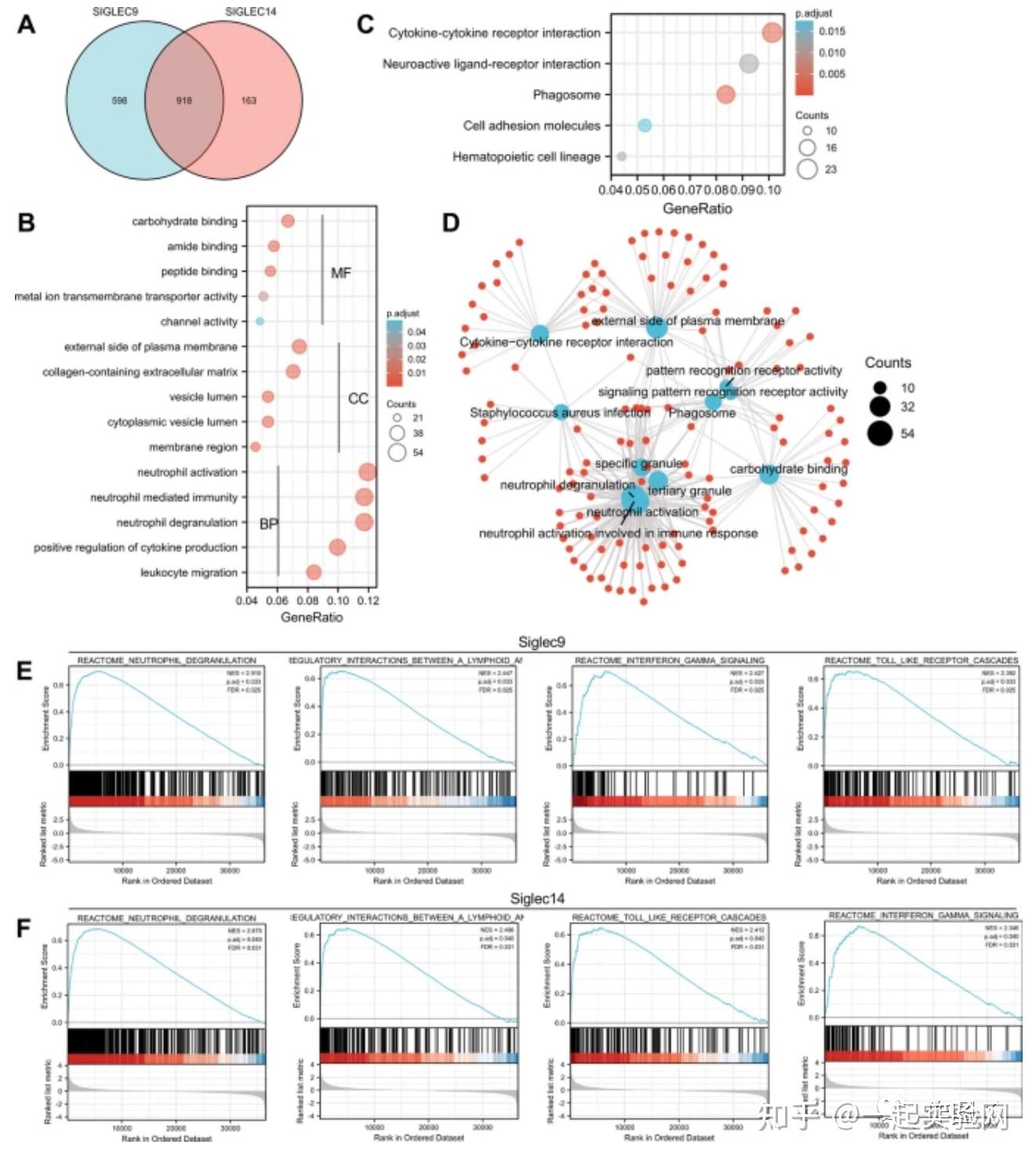 全新思路：基因家族构建肿瘤预后模型 - 知乎