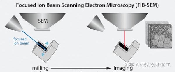 扫描电镜成像技术（Cryo-FIB-SEM）研究进展 - 知乎