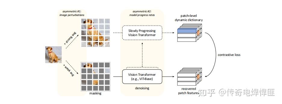 [ICLR 2023] Masked Image Modeling with Denoising Constrast - 知乎