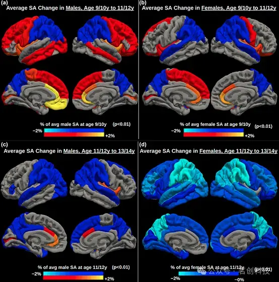 Hum Brain Mapp：青春期早期的灰质流失可以用白质生长来解释吗？ - 知乎