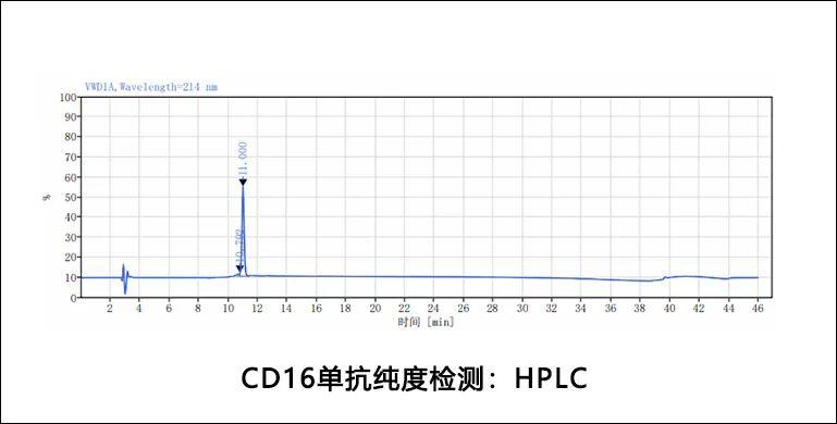 增强NK细胞ADCC的重要蛋白—CD16a - 知乎