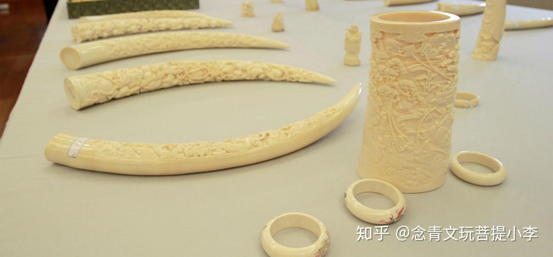 象牙虽珍贵，生命价更高，看如何区别真假象牙 - 知乎