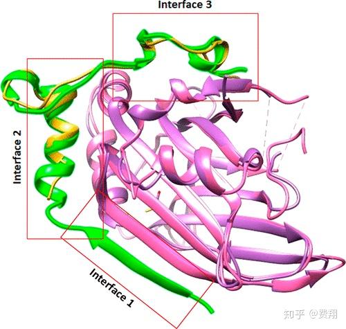 【JMC】TEAD靶点综述 - 知乎