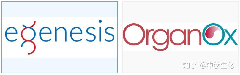 世界首例猪肝脏人体实验，经过69处基因编辑，未发生排异反应，已申请临床试验 - 知乎