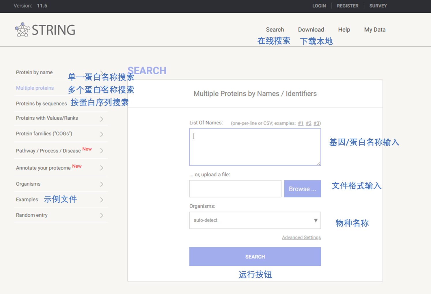 实用工具丨基于STRING的蛋白质相互作用（PPI）分析 - 知乎