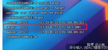 2022 CTF之AWD攻防总结 – 安全体系 - 知乎