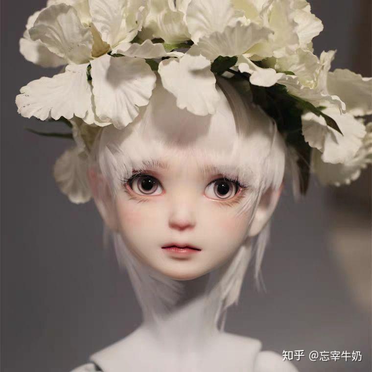 有哪些白菜价的bjd？ - 知乎