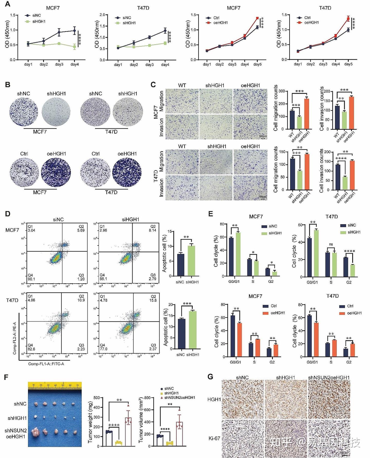 NSUN2/YBX1介导m5C甲基化增强HGH1 mRNA稳定性以促进肿瘤进展 - 知乎