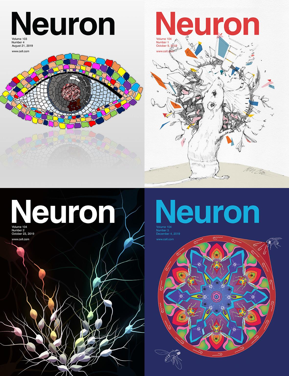 72张《Neuron》精美封面鉴赏丨2019~2021年上半篇 - 知乎