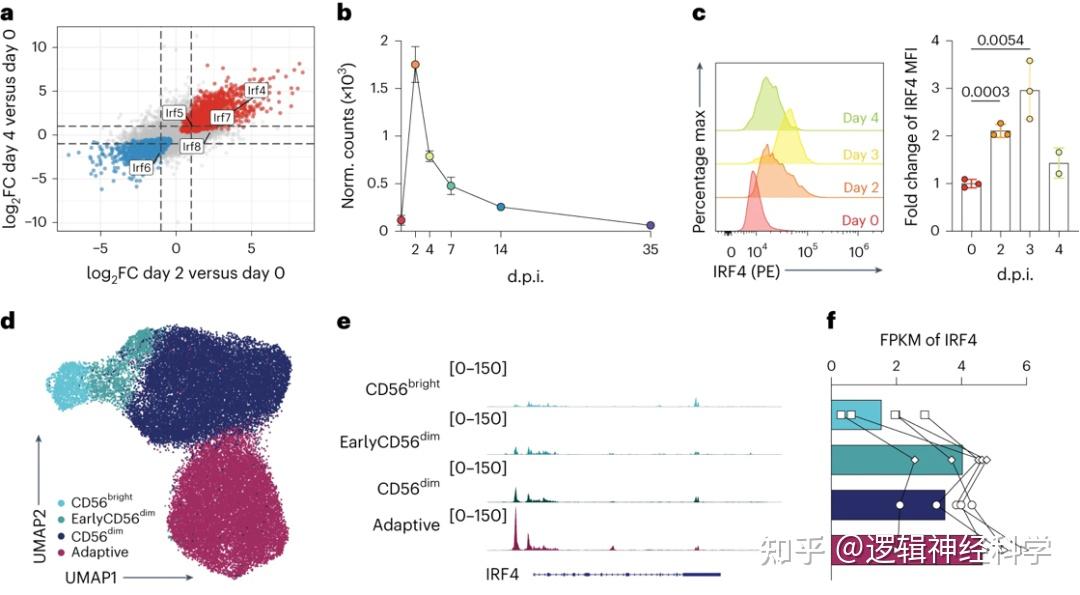 Nat Immunol︱纪念斯隆-凯特琳癌症中心团队发现：IRF4——NK细胞抗病毒适应性免疫的信号整合器 - 知乎