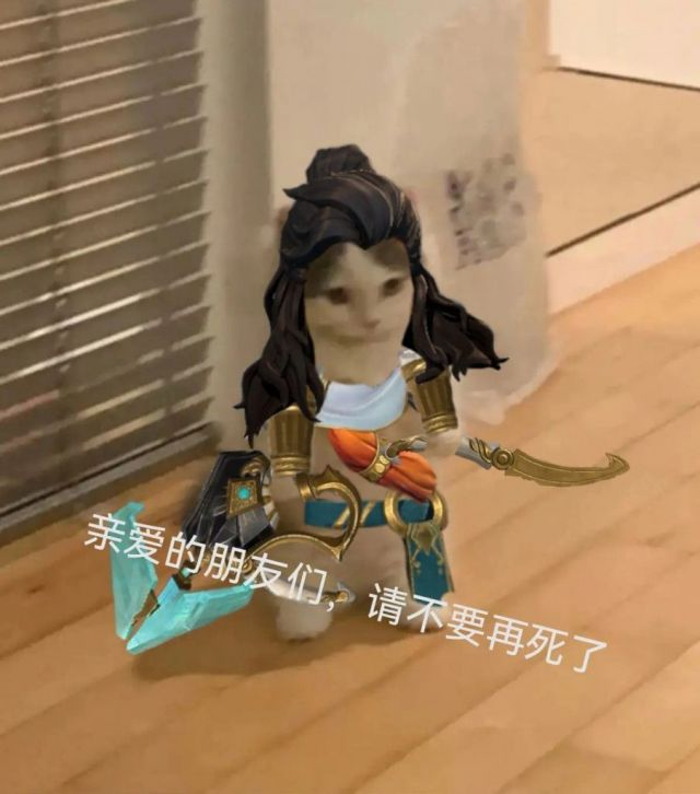 LOL英雄联盟猫猫表情包（第七期） - 知乎