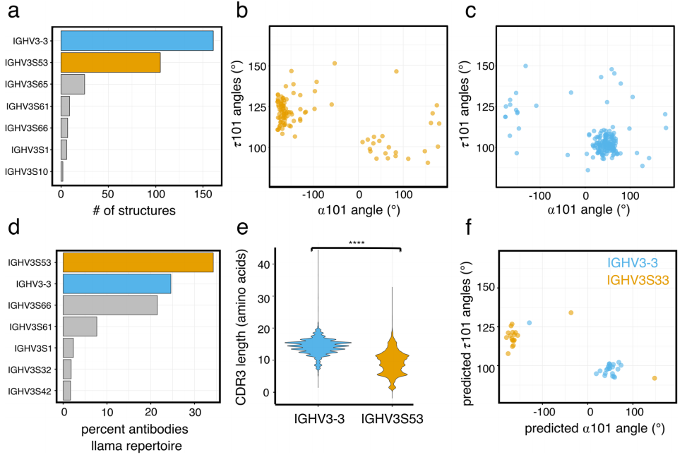 探秘VHH结构域中独特CDR-H3构象的神秘成因 - 知乎