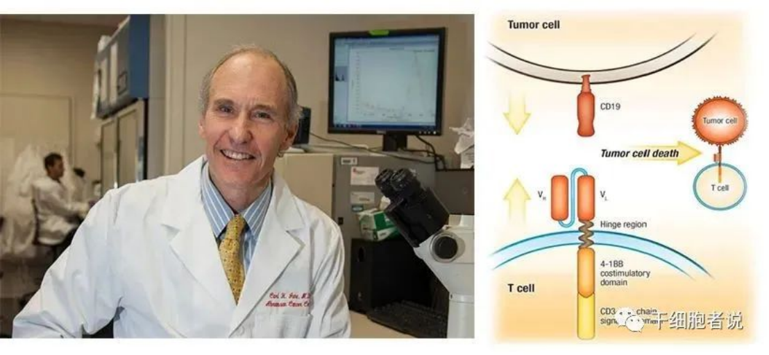 万物可CAR系列 | CAR-T技术5代发展史 - 知乎