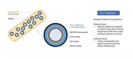 云顶新耀 IgA 肾病药物——布地奈德迟释胶囊（Nefecon）拟纳入优先审评 - 知乎