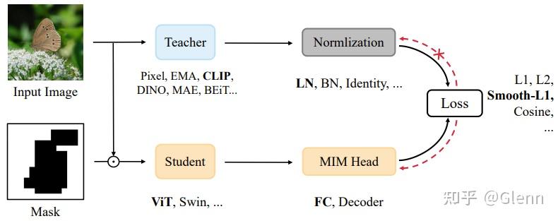 [论文阅读] MIM | Hybrid Distillation：使用知识蒸馏将对比学习与 MIM 结合起来 - 知乎