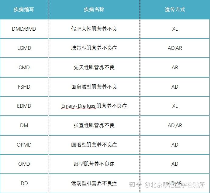 临床如何区分遗传性疾病DMD和BMD呢？ - 知乎