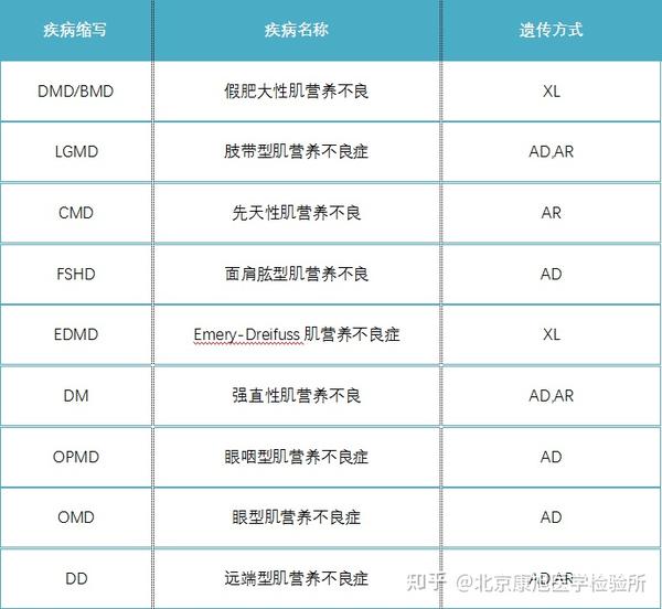 临床如何区分遗传性疾病DMD和BMD呢？ - 知乎