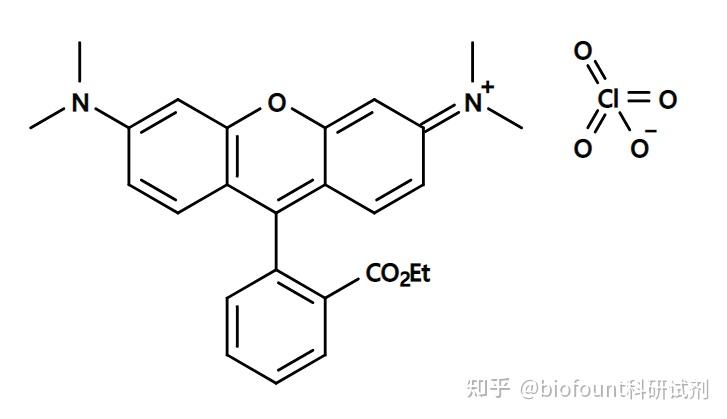 TMRE（四甲基罗丹明乙酯）；细胞渗透性染料 - 知乎