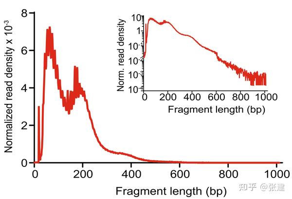 ATAC-seq pipeline (2022_12_10 Version1.0) - 知乎