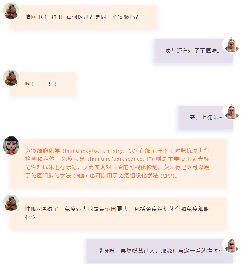 免疫细胞化学/免疫荧光 (ICC/IF) 实验操作全流程! 一看就懂噻~ | MedChemExpress (MCE) - 知乎