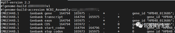 GFF/GTF简介及格式转换 - 知乎