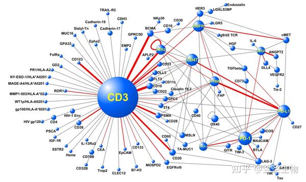 双抗热门靶点——CD3D&CD3E - 知乎