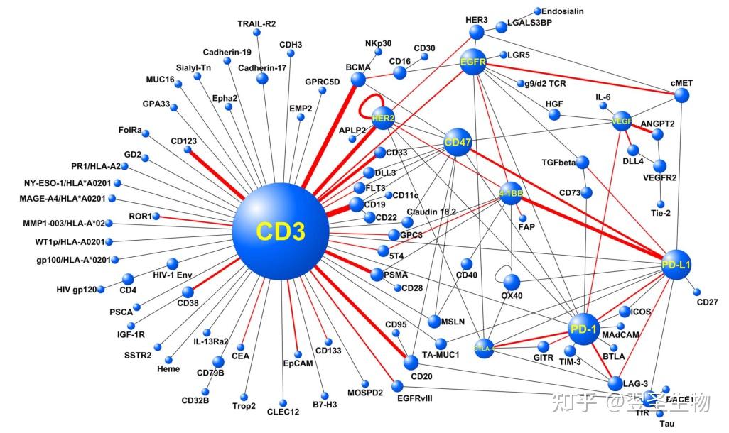 双抗热门靶点——CD3D&CD3E - 知乎