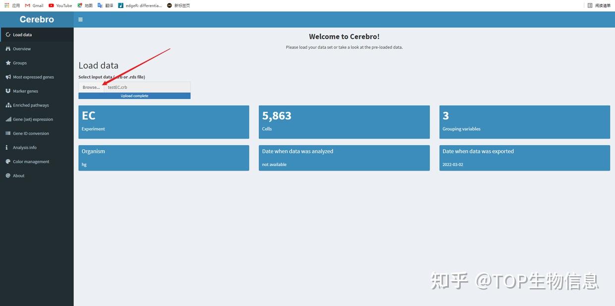 Cerebro：一个好用的单细胞数据展示shiny工具 - 知乎