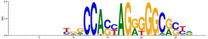 Seqlogo、可视化motif-基于jseqlogo - 知乎