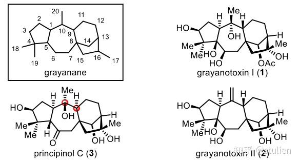 (−)-Principinol C的全合成 - 知乎