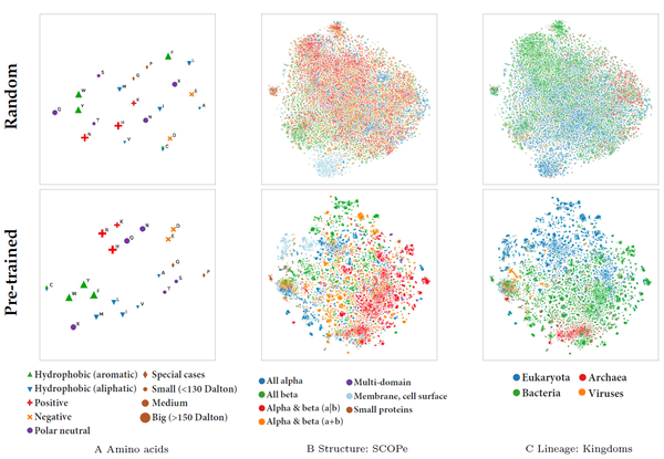 [论文总结] ProtTrans：Toward Understanding the Language of Life Through Self ...