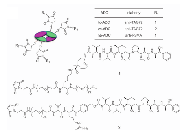下一代新型ADC: 点击化学ADC - 知乎