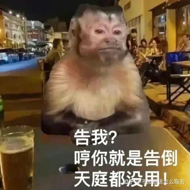 猴子表情包汇总 - 知乎