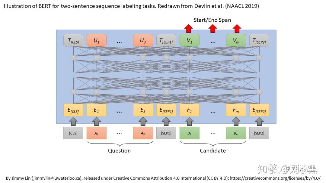 帮你快速画出漂亮BERT模型图 - 知乎