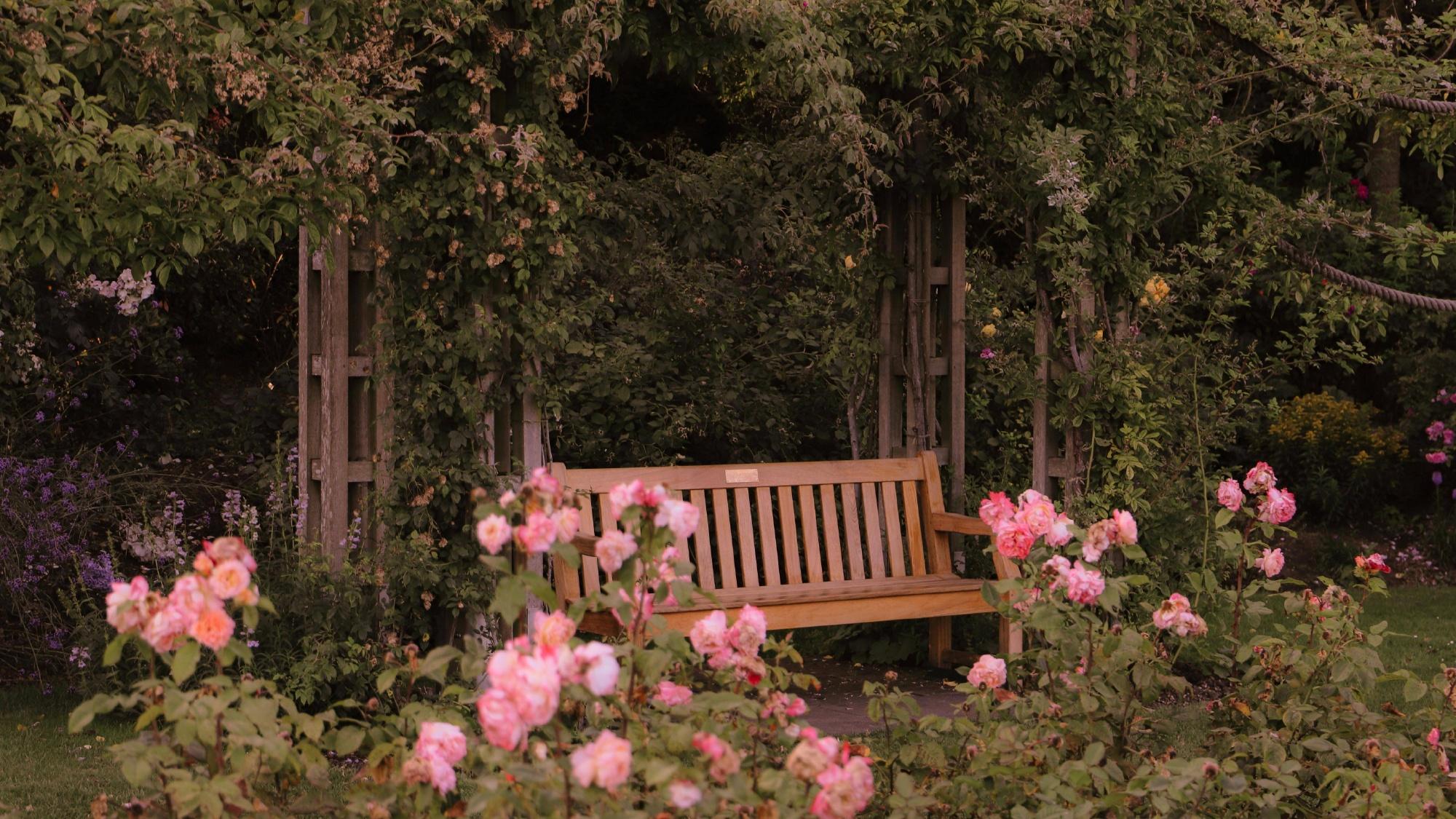 有哪些很适合春天的电脑壁纸？ - 知乎