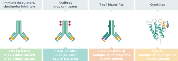 Probody®疗法简介及其在ADC中的成功应用（最大限度减少健康组织伤害） - 知乎