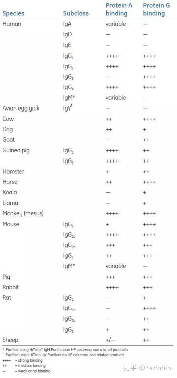 Protein A与Protein G有何不同？如何选择？ - 知乎