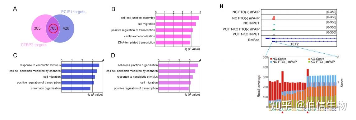 CLIP-Seq技术详解 - 知乎
